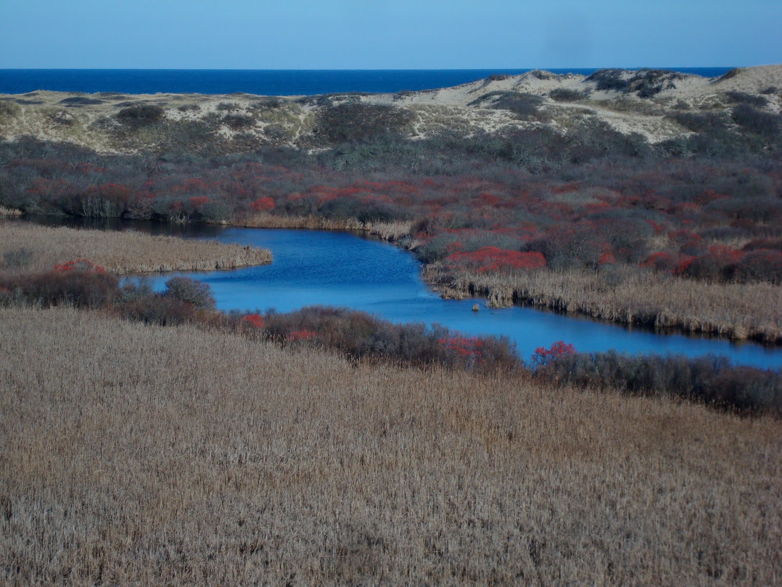 Literary Crushes/Grave Matters: Blue Sky, Blue Marsh, Blue Atlantic