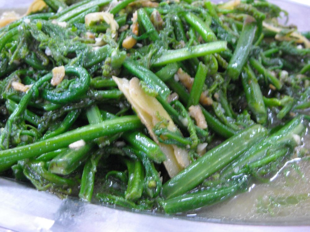 foodbin: Pucuk Paku.