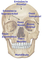 Oficina de Cabelo e Maquiagem 6: Primeiro passo: Observar e entender a ...