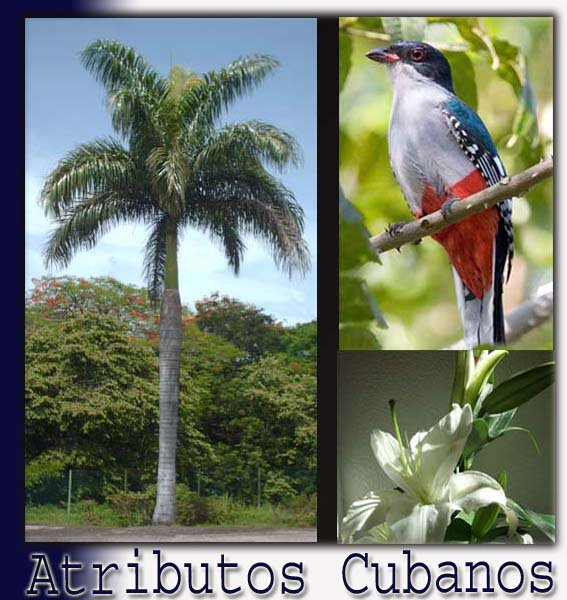 CUBANIDADES: 17/10/10 - 24/10/10