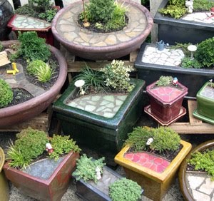 The Fern and Mossery: Mini garden kits at twogreenthumbs.com