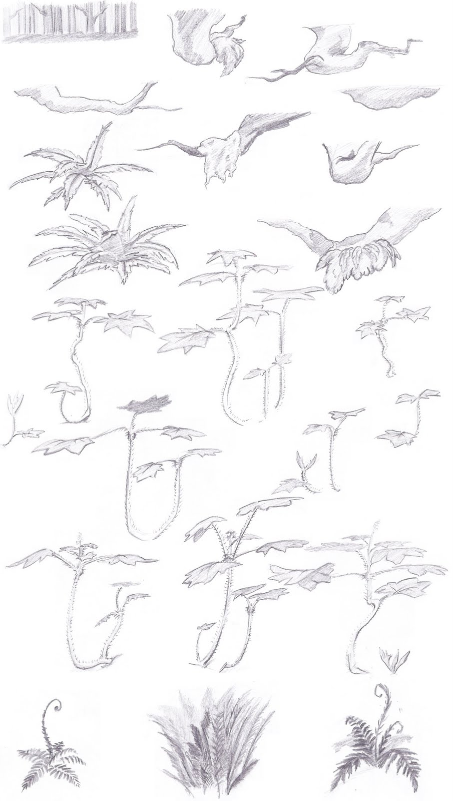 Sage Sketch: Temperate Rainforest