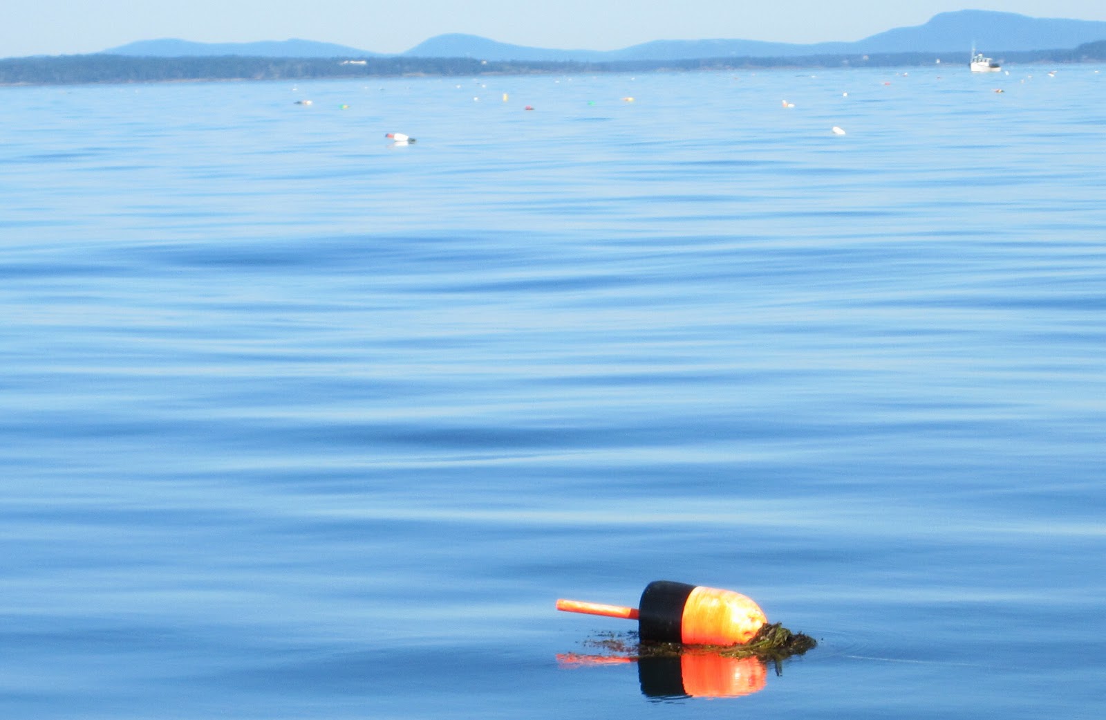 Pecan Travellog: Notes on Maine - Lobster buoys