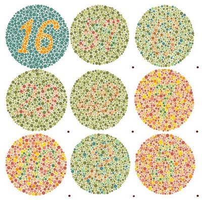 did you know?: Ishihara Test