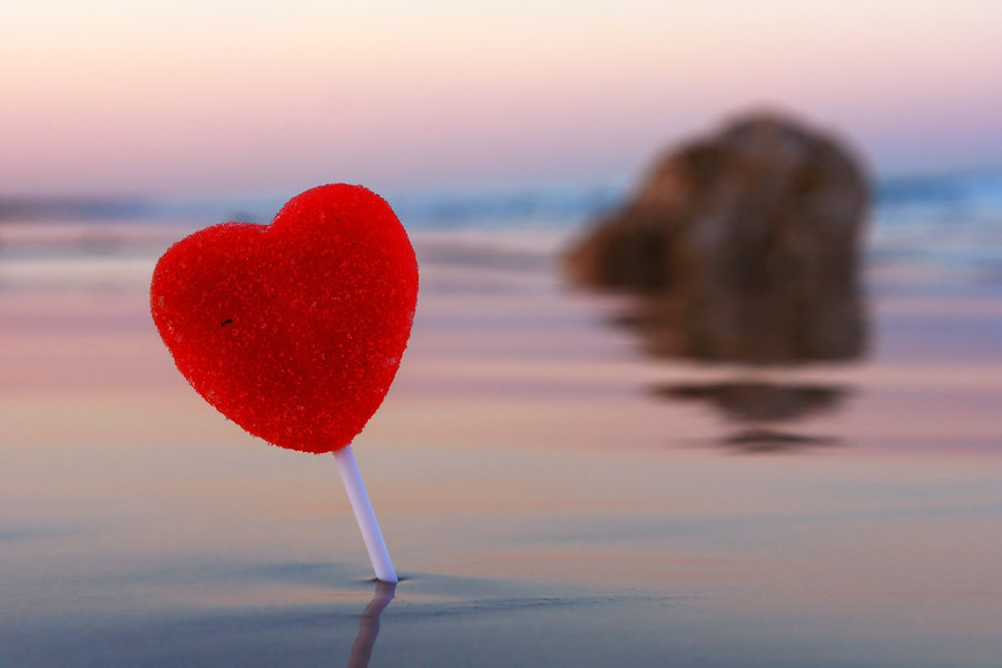 Pip's Perspective: i heart photography!