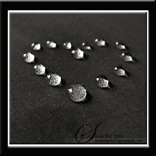 Pip's Perspective: i heart photography!