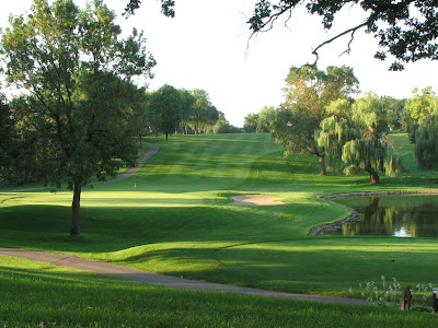 Island View Golf Club: GCI: Trees on the golf course