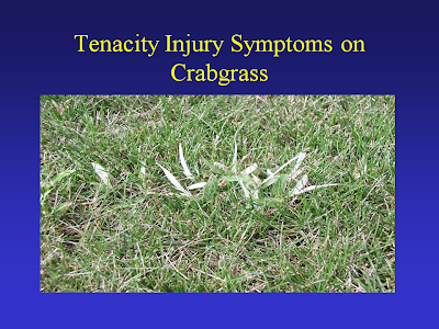 University of Delaware Cooperative Extension, Kent Co., Commercial ...