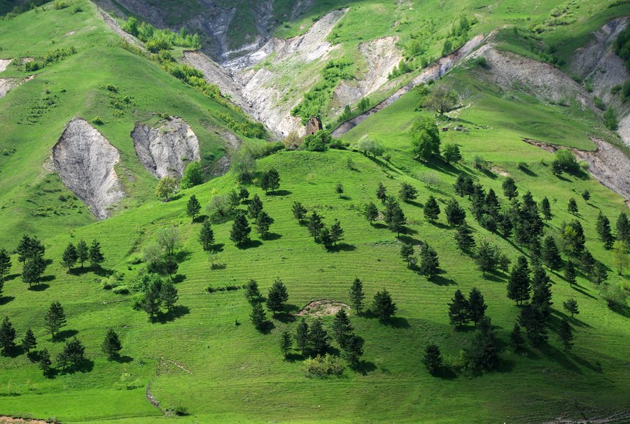 Gruzinų karo kelias, Kaukazas, Vasia ir kitos 27 priežastys pamatyti ...