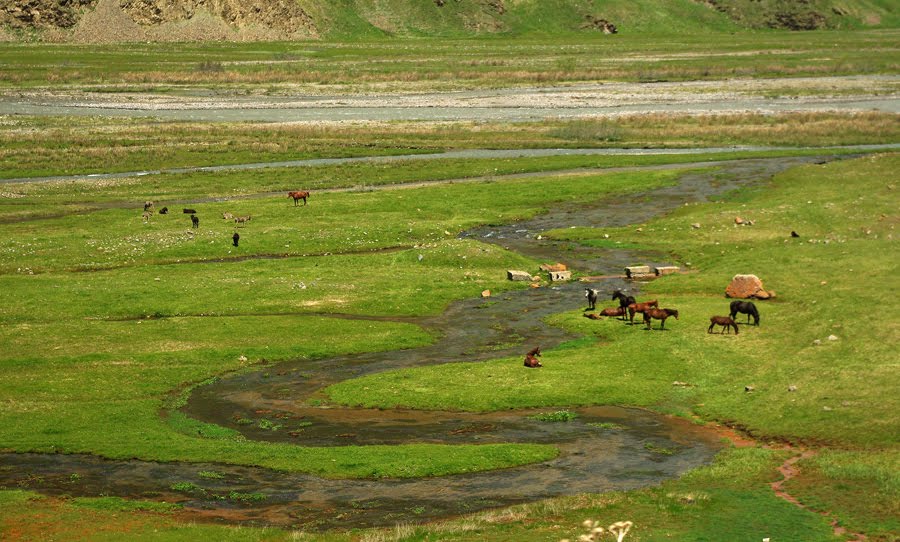 Gruzinų karo kelias, Kaukazas, Vasia ir kitos 27 priežastys pamatyti ...