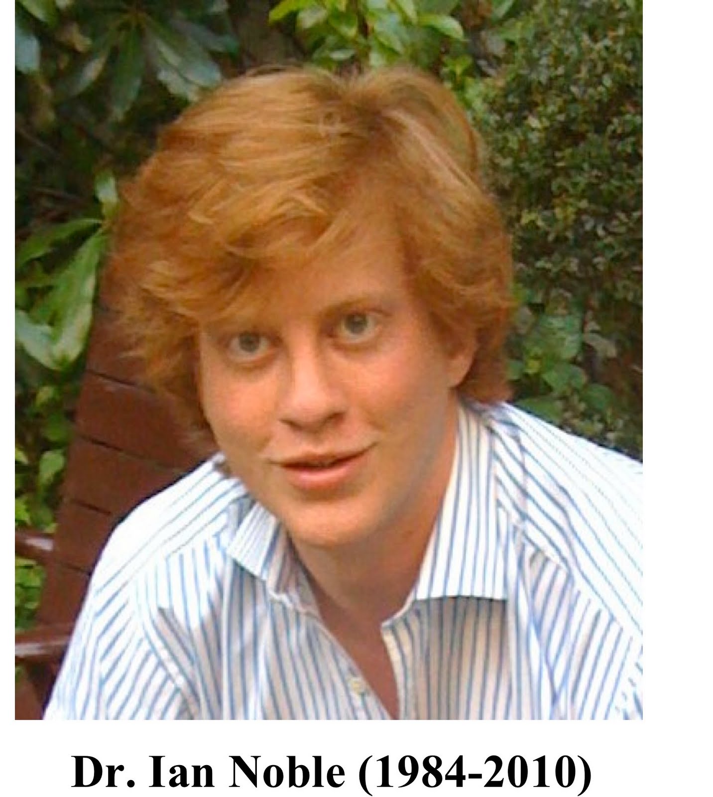 Beatriz Williams: November 2010