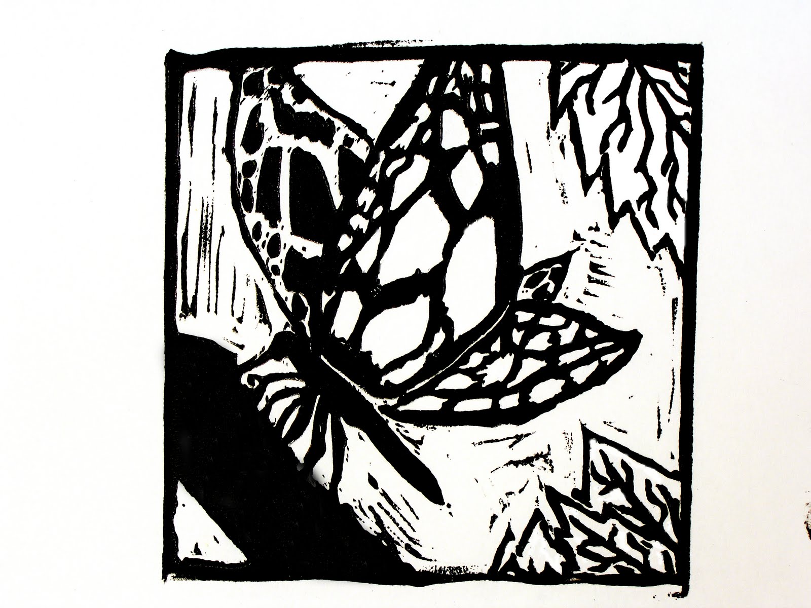 Taylor!!: linocut prints