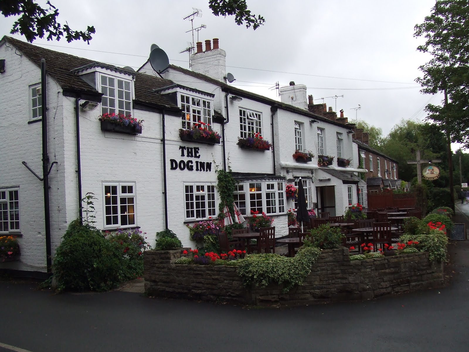 BEERANDFESTIVALS.BLOGSPOT.COM: DOG INN PEOVER HEATH 10TH BEER FESTIVAL 2010