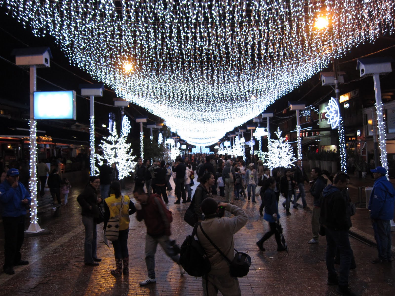 Where Is Darren Now?: Christmas Lights In Colombia