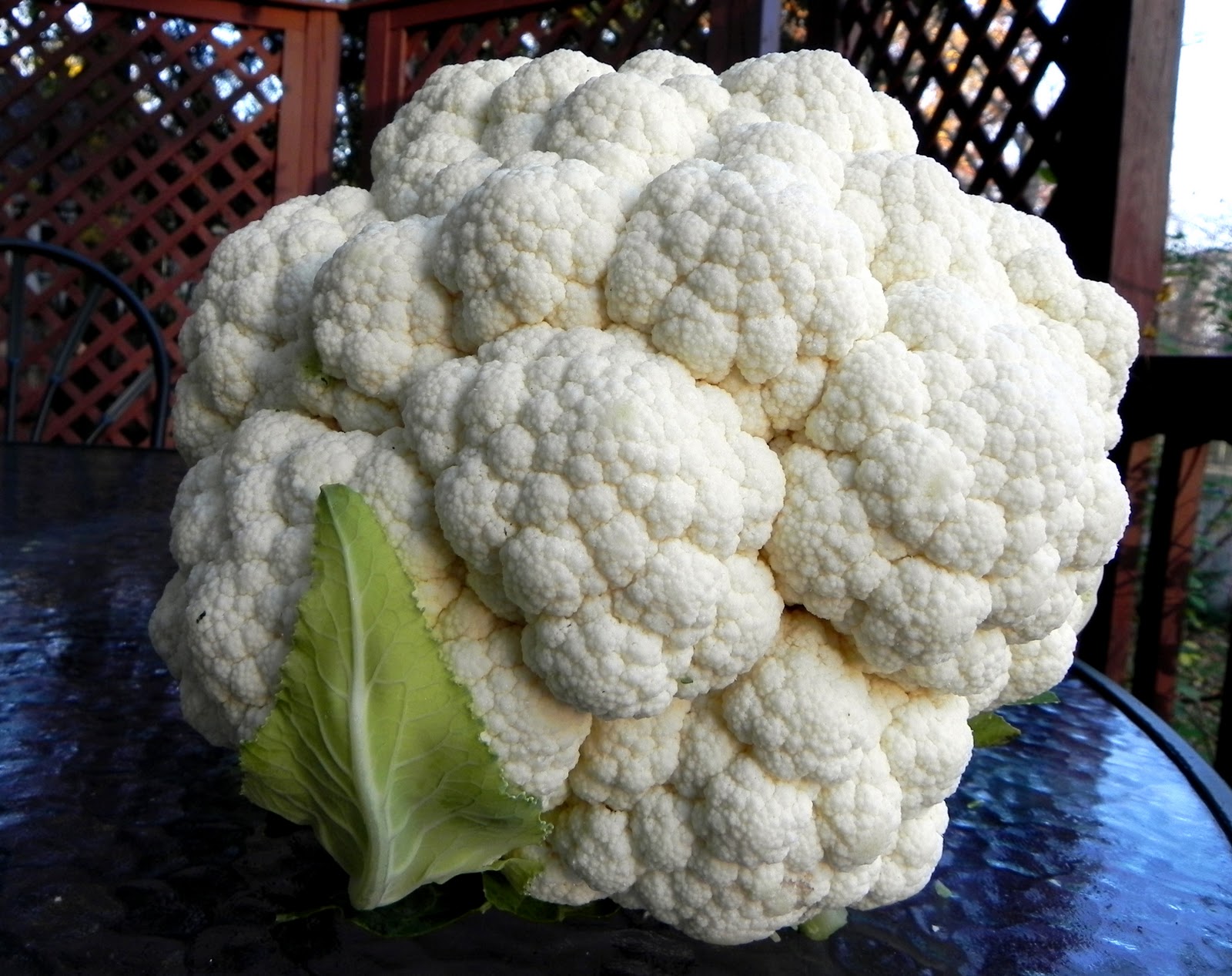 Power of the Flower: Big Cauliflower