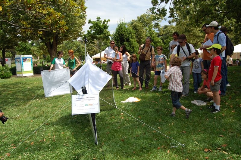 BioBlitzBcn2010