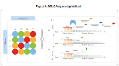 Wings of Seraph | 天使之翼: Next-generation Sequencing Technique