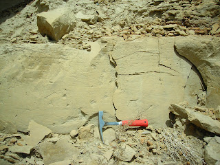 The Dynamic Earth: Swaley Cross-Stratification Solidarity