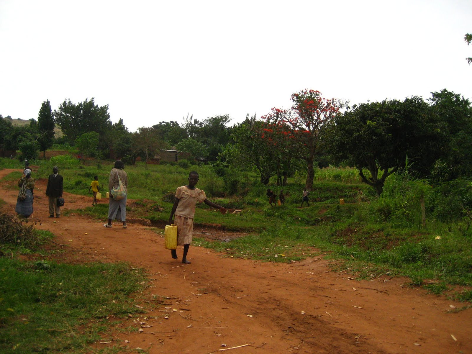 This American Tourist: Tongolo, Part Two