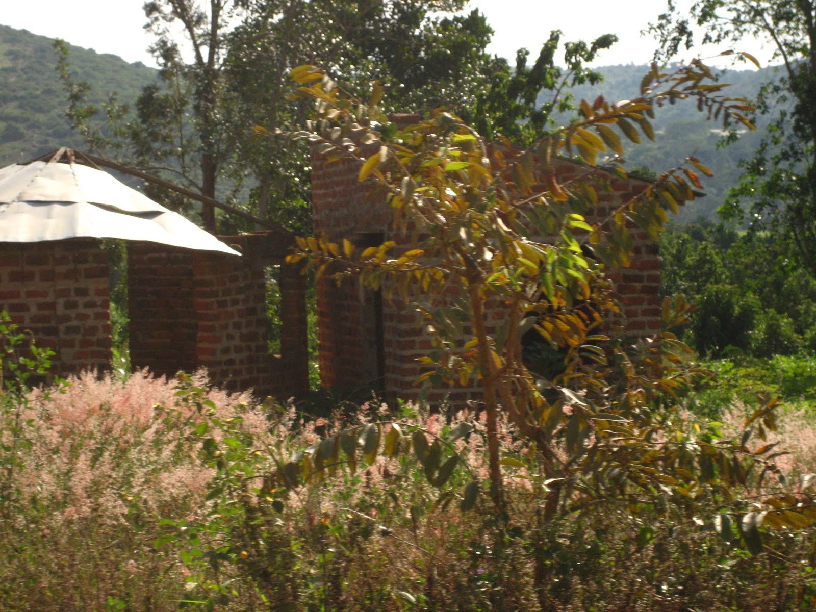 This American Tourist: Tongolo 3/Galema