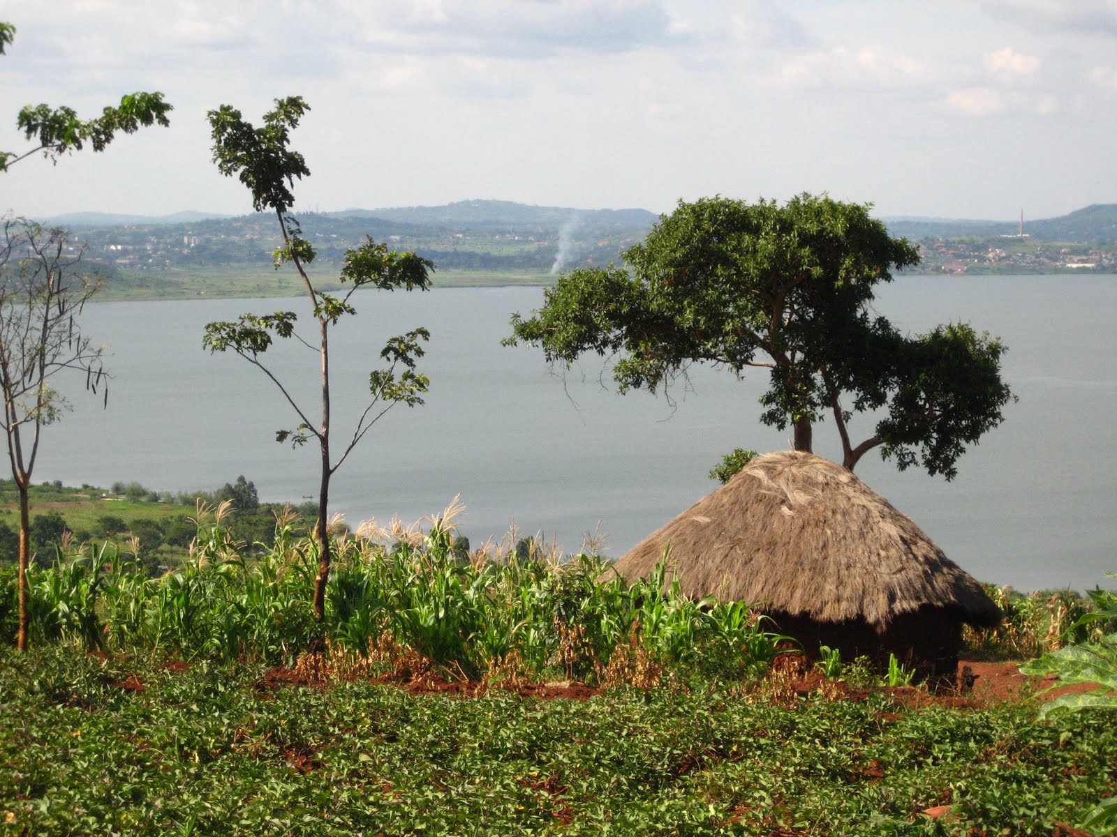 This American Tourist: Tongolo 3/Galema