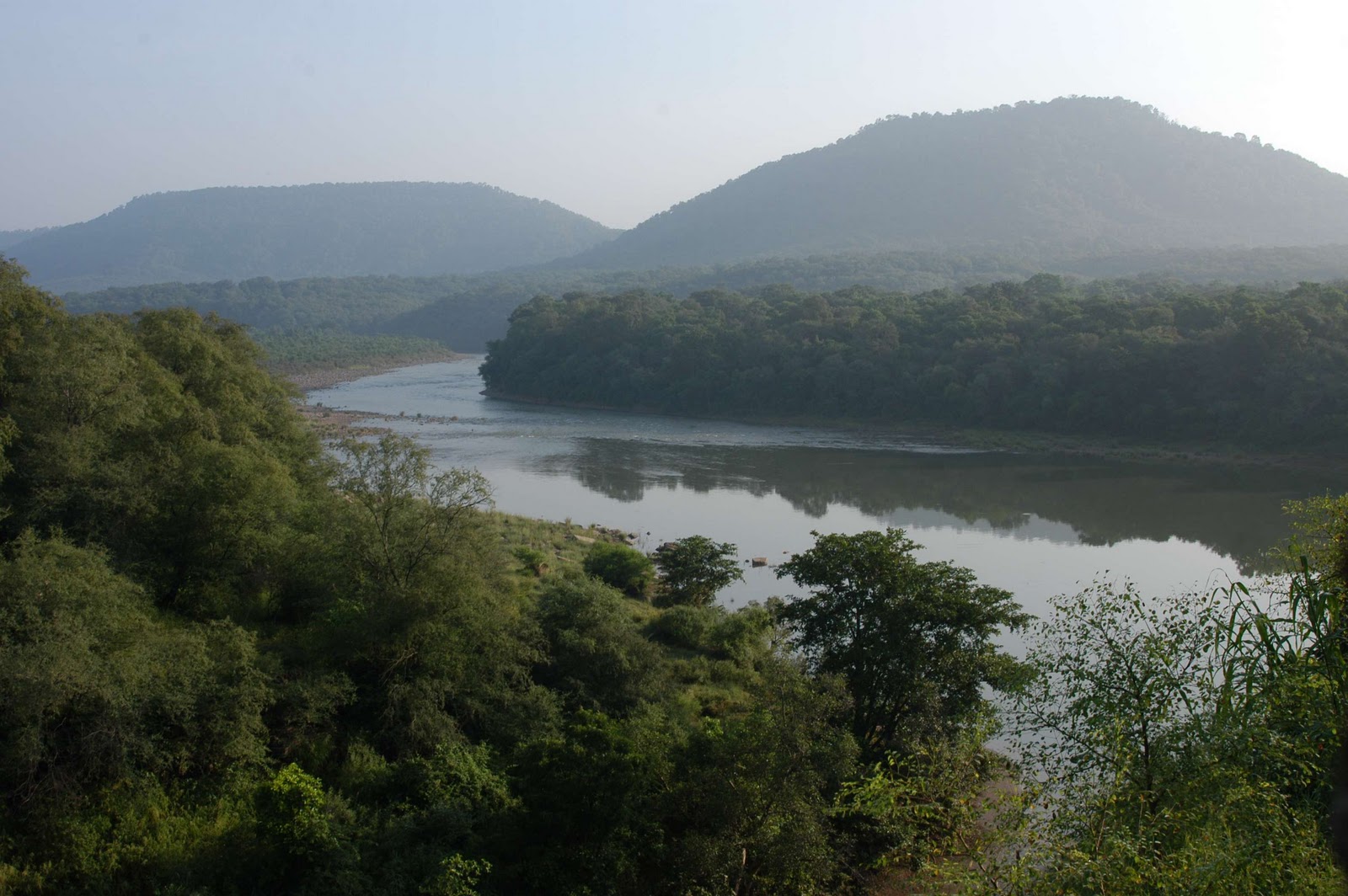 Holiday With King Of Gir Forest - Gir Forest - Only One Place Of ...