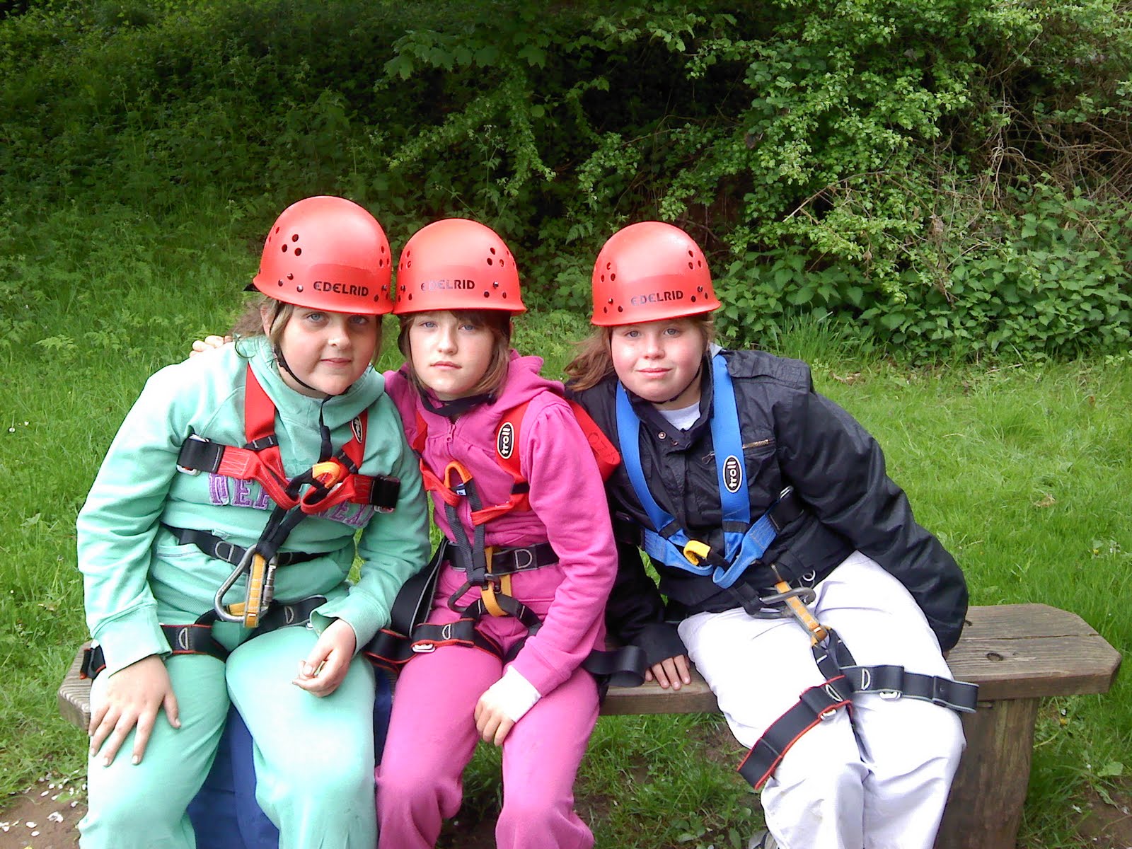 PGL 2010