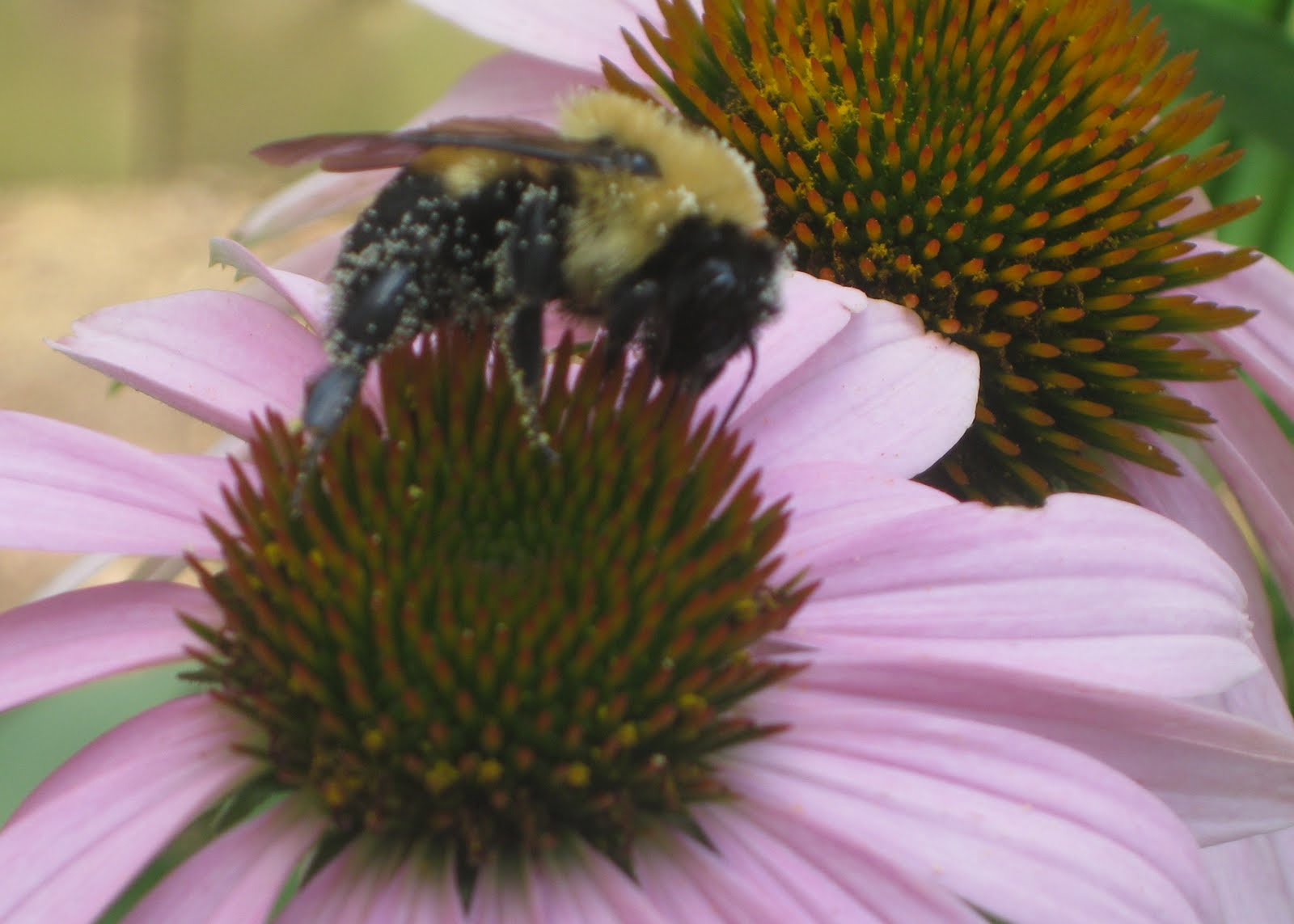 Picture This Photo Contest for September 2010