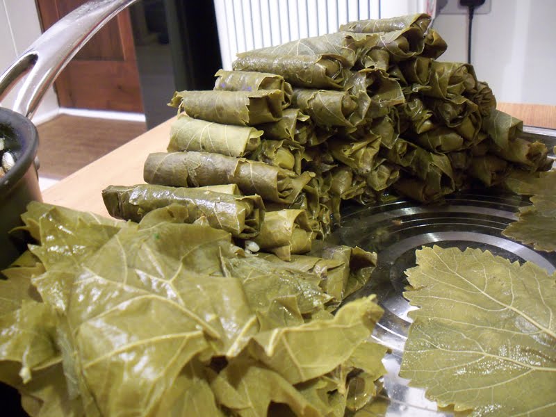 Syrian Food Grape Leaves