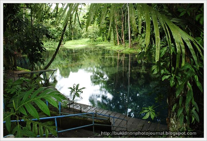 Bukidnon Photo Journal: Revisiting Nasuli Spring Resort in Bangcud ...