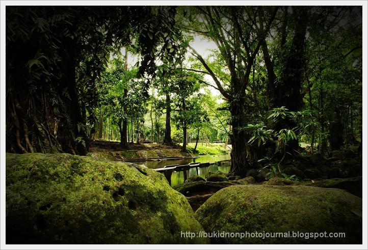 Bukidnon Photo Journal: Matin-ao Spring in Bangcud, Malaybalay City