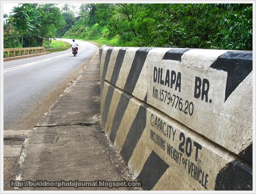 Bukidnon Photo Journal: Under the Bridge of Dilapa (Quezon, Bukidnon)