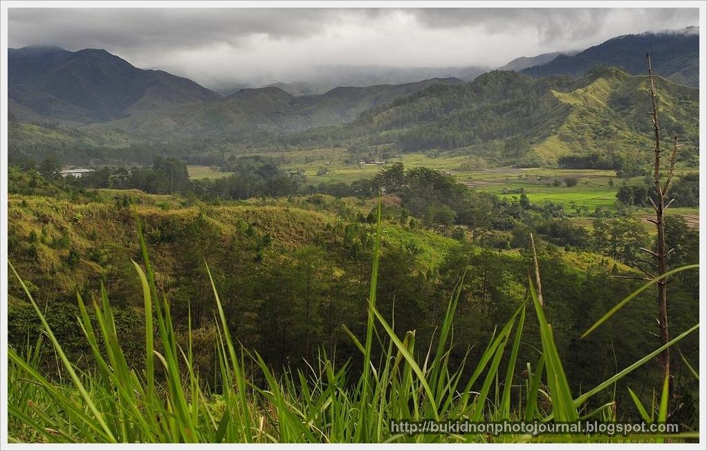 Bukidnon Photo Journal: Exploring the Bukidnon Provincial Tree Park