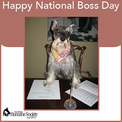 National Boss Day