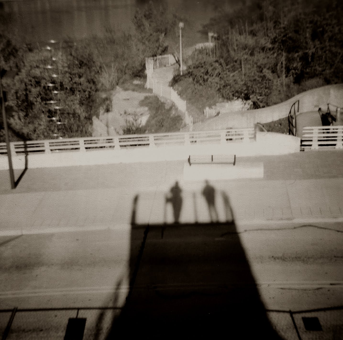 the Self in and out of Shadows