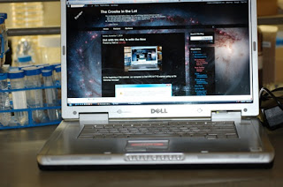 The Crooks in the Lot: 2010