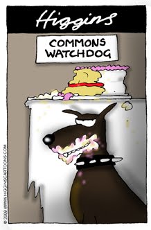 HIGGINS CARTOONS: Standards, what standards?