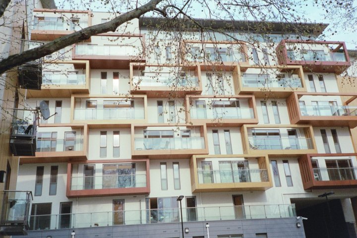 whip me beat me call me barbara