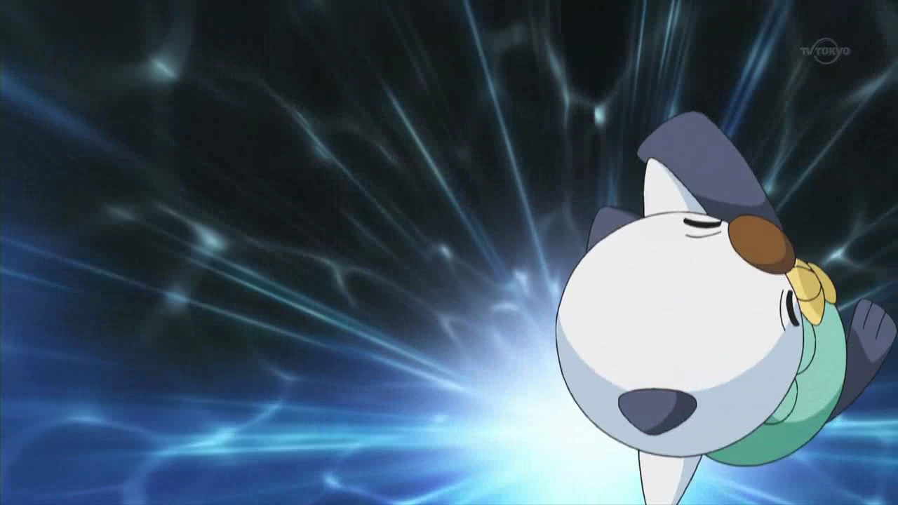 Pokemon Best Wishes 5 generacion: ¡Ataques especiales de los Iniciales ...