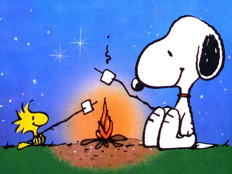 The Excursion Of My Memoir SNOOPY the-excursion-of-my-memoir-snoopy