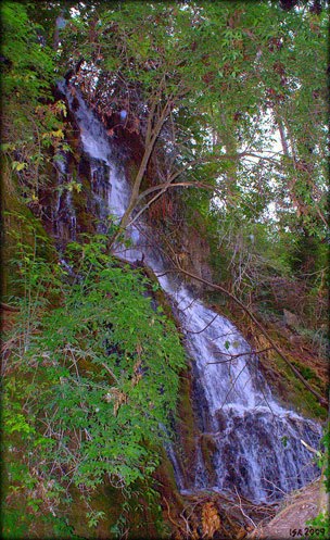 Senderos de Huesca: El Barranco de Gabasa