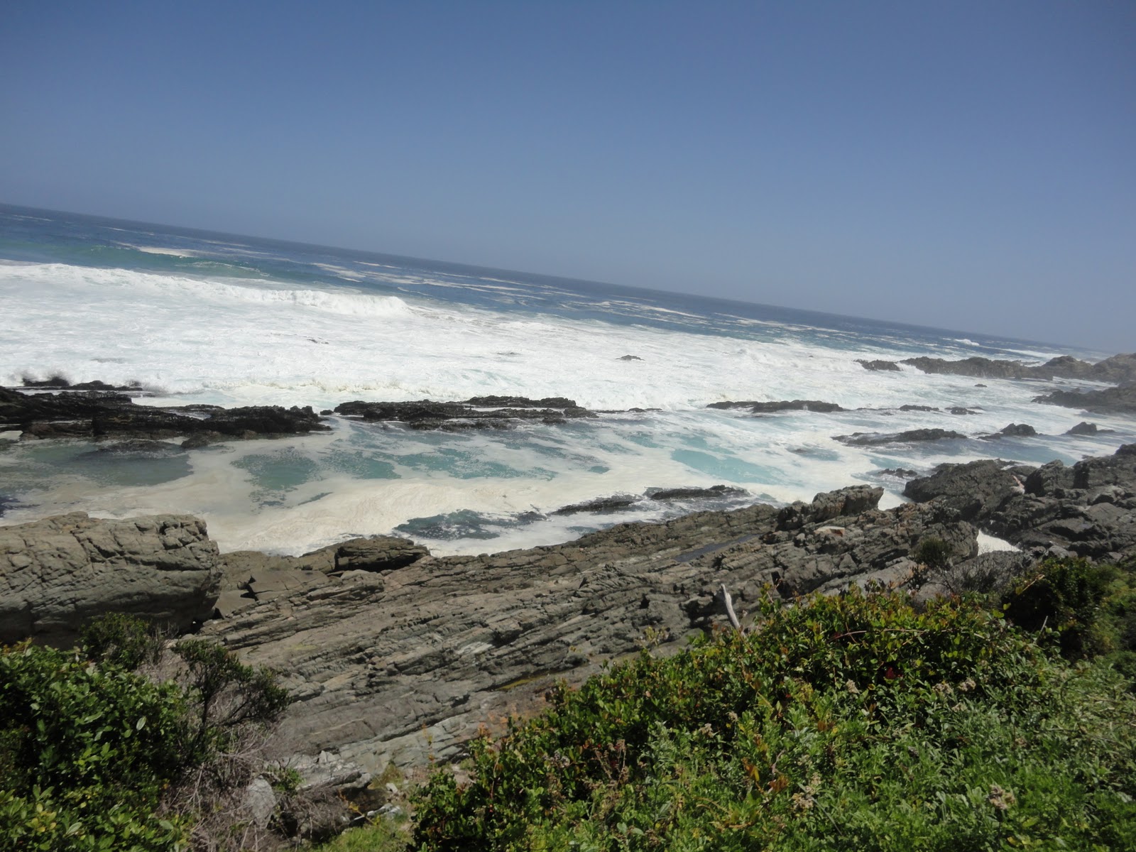 Steffi goes Eikestad: Garden Route