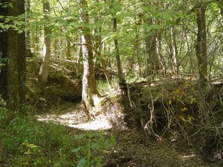 The Search For Bigfoot: The GCBRO, and Monster Central - My View