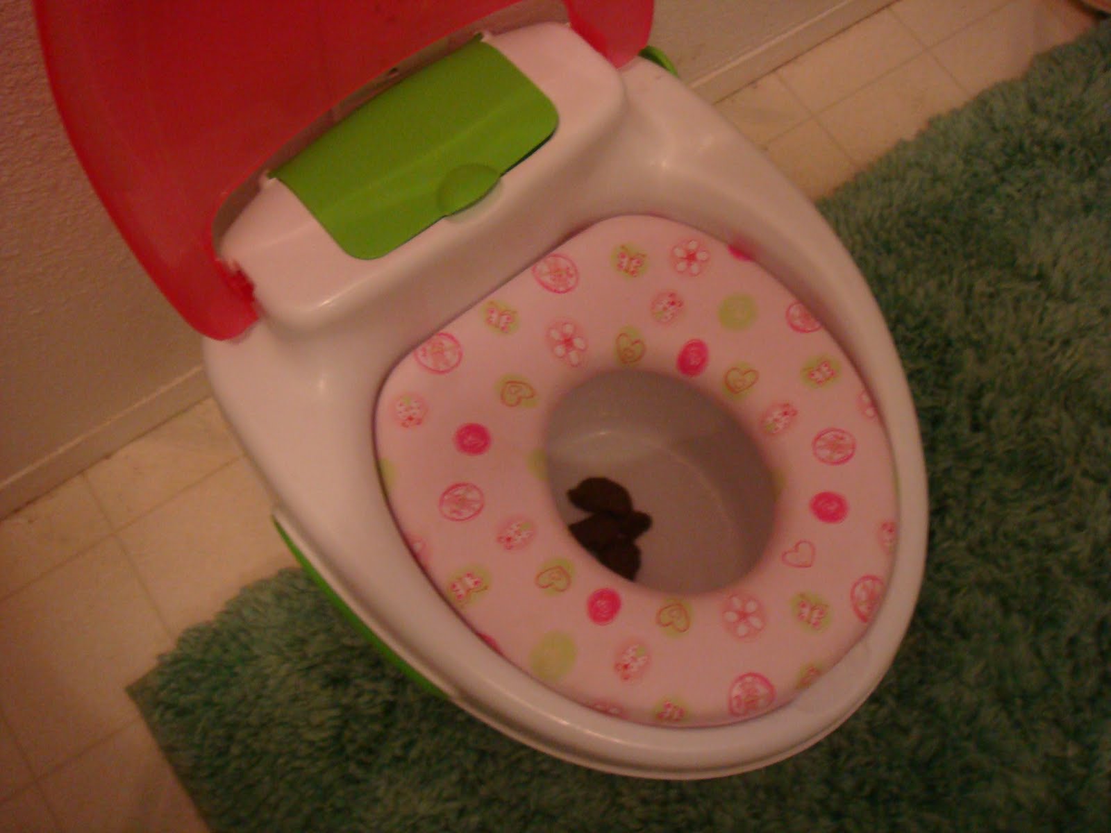 Evans Family: Ailey uses the Potty!
