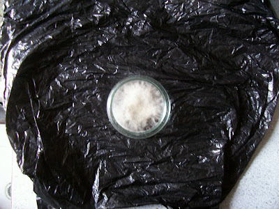 Bio-Objects: Bio-Objects