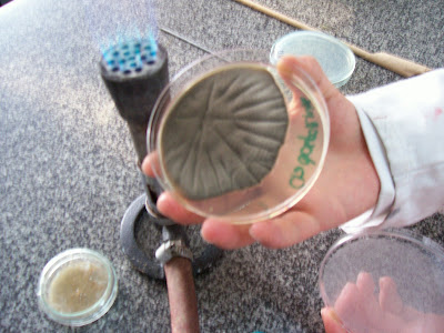 Bio-Objects: Bio-Objects