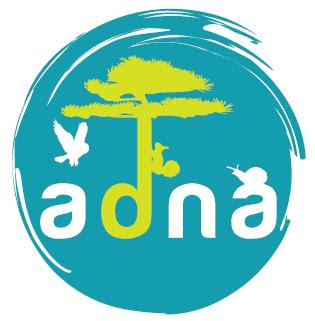 Genèse du logo – ADNA – Association des Naturalistes d'Auvergne