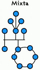 Topologia de Redes.: Topología de red mixta