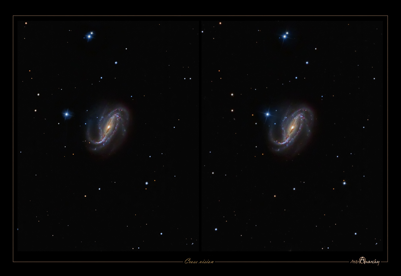 Astro Anarchy: NGC 613 as a 3D stereo pair