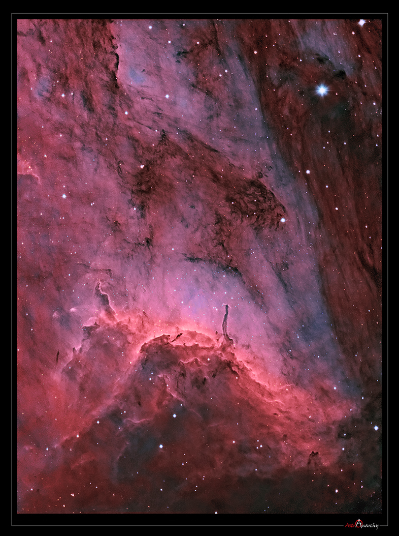 Astro Anarchy: IC 5070 (IC 5067) The "Pelican Nebula" reprocessed